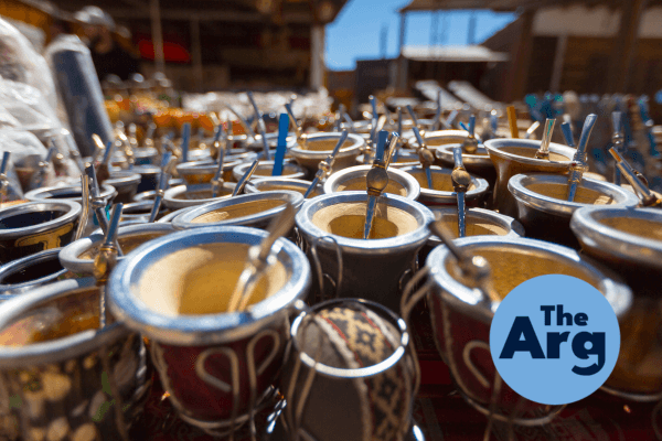 Different types of mate cups: Pros and Cons